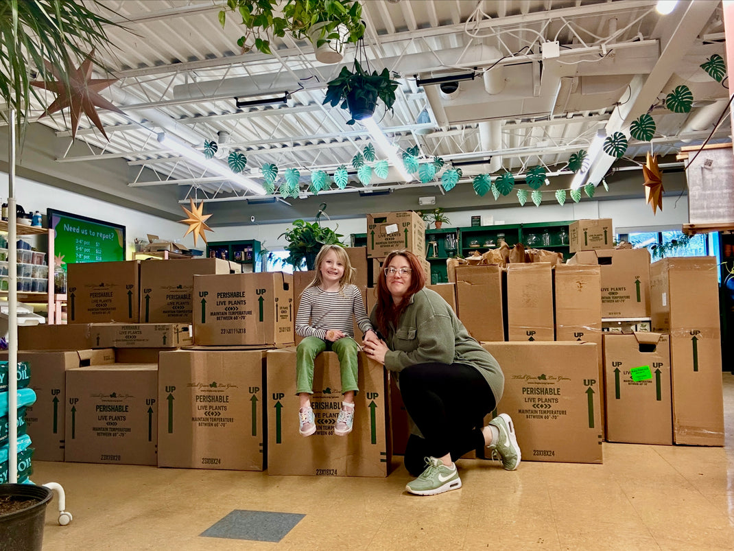 Ruby Flora: Healthy Houseplants and Plant Shop in Pittsburgh – Ruby ...