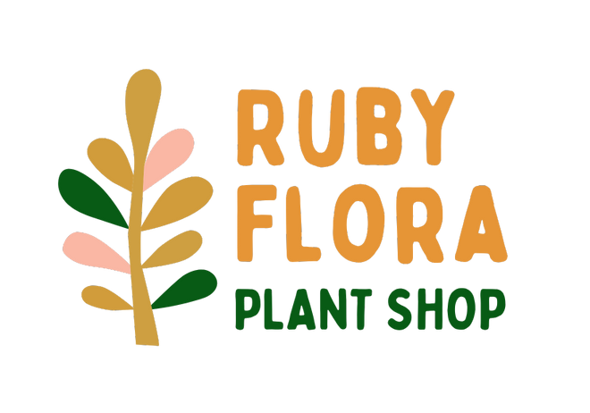 Ruby Flora: Healthy Houseplants in Pittsburgh – Ruby Flora Plant Shop