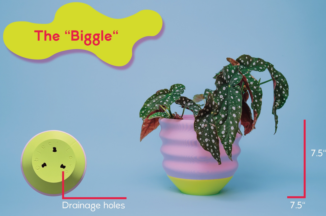 Biggle Planter – Ruby Flora Plant Shop